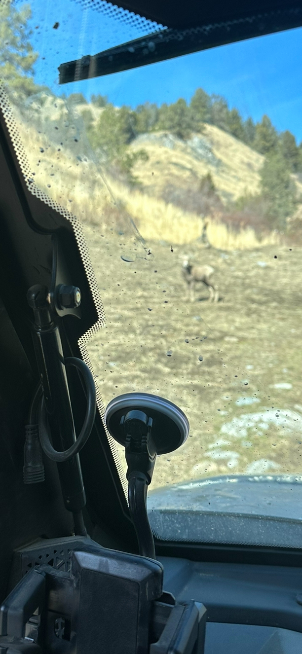 E2D198F3-C32D-4E6B-8BA2-6E5941D44B19.jpeg | Polaris XPEDITION Forum