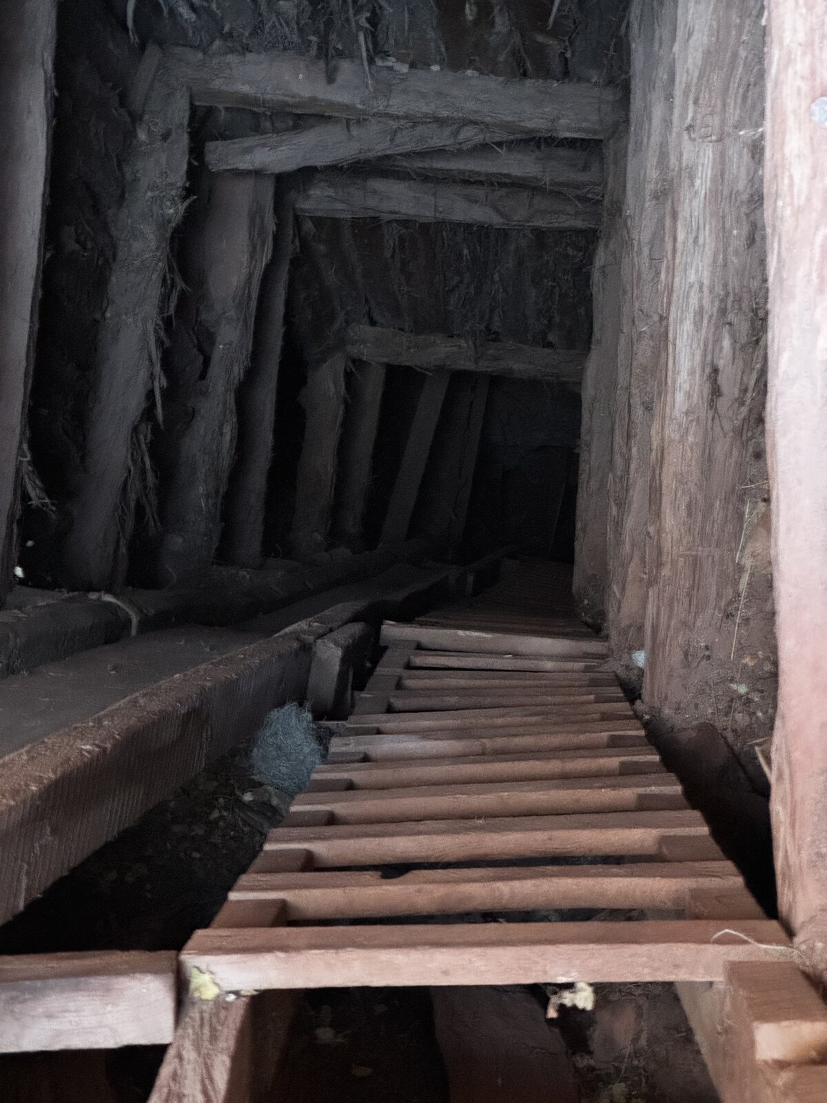 IMG_8698.jpeg | Polaris XPEDITION Forum